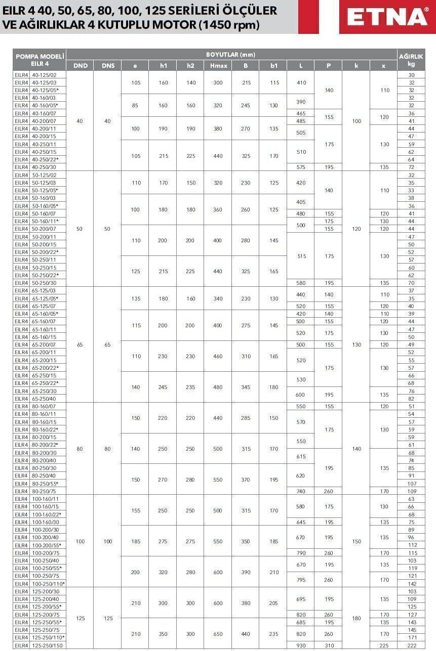 Etna EILR4 40-250/1,1 kW - 1450 devir Kuru Rotorlu Sir. Pom.